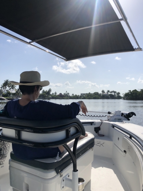 Make 2021 the Year of More Shade - Great Lakes Scuttlebutt